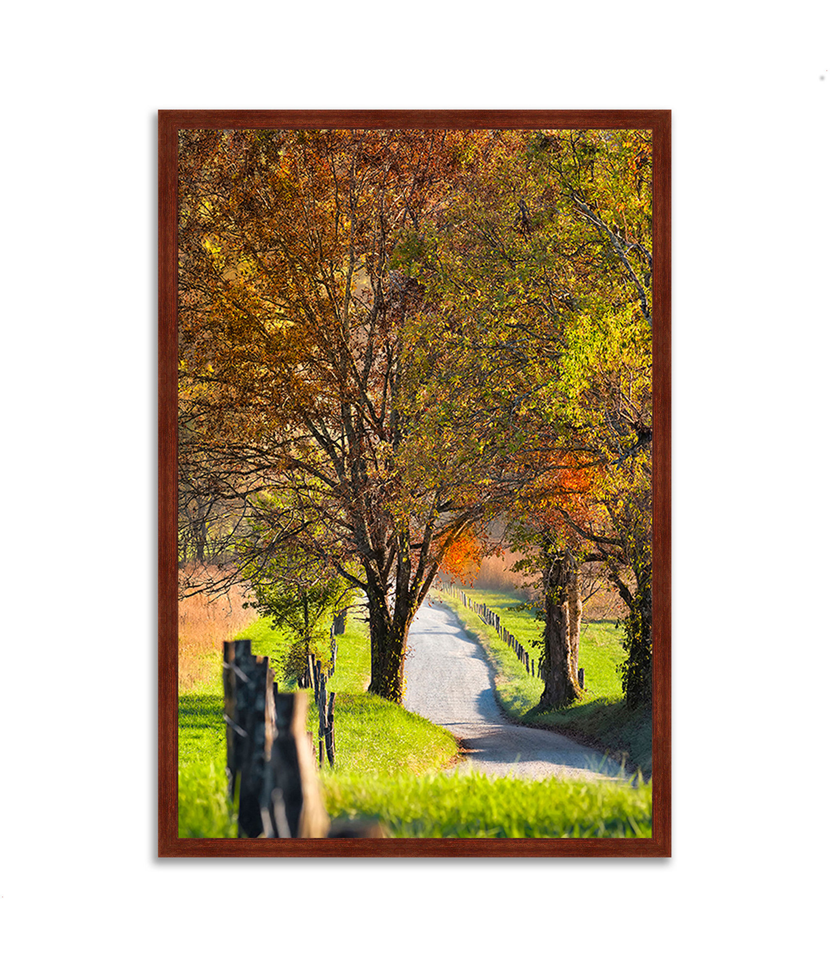 "Country Road I", Framed Photograph Print, Ready To Hang - Contemporary ...