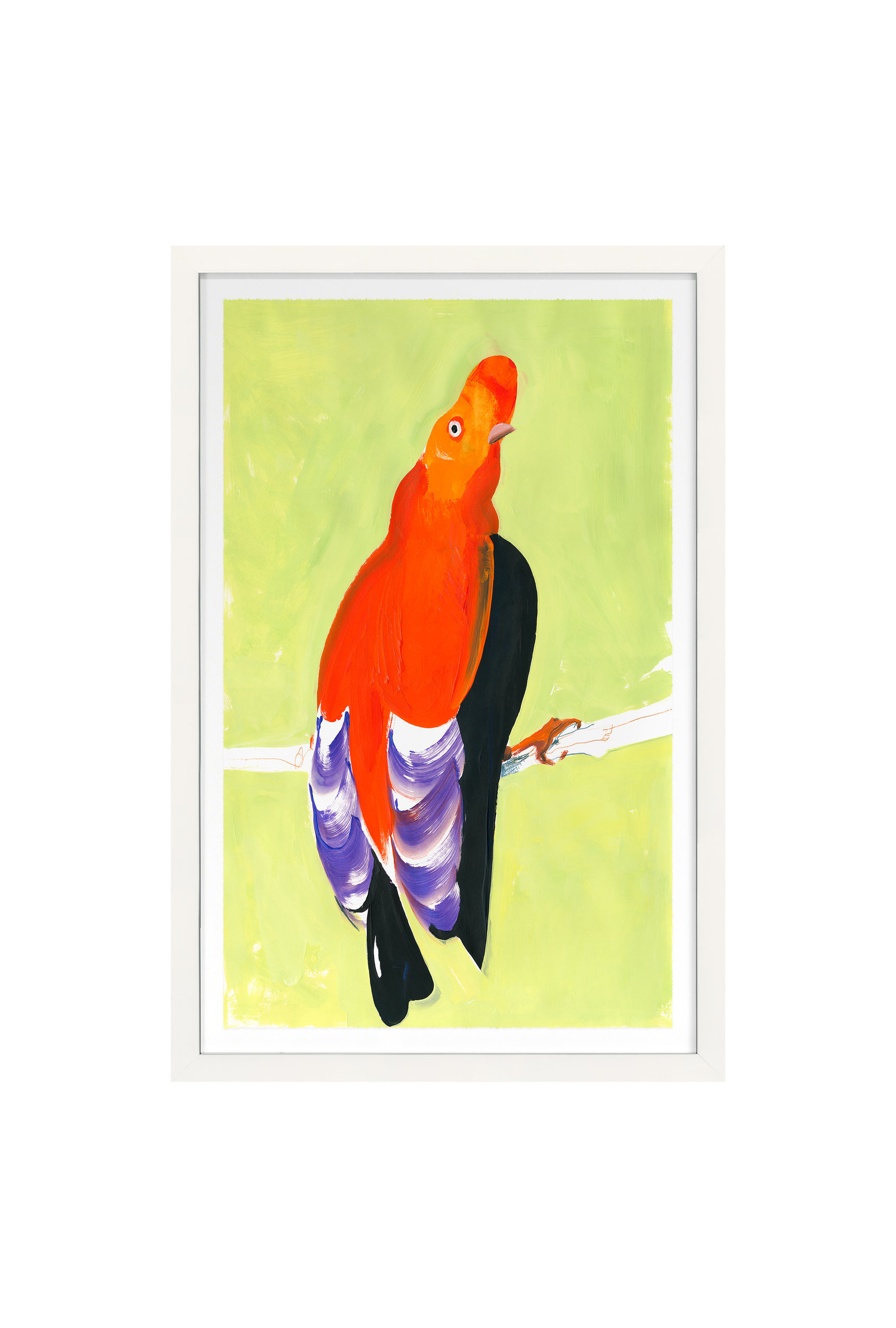 Tunki Fine Art Print, 30"x20" - Contemporary - Fine Art Prints - by ...