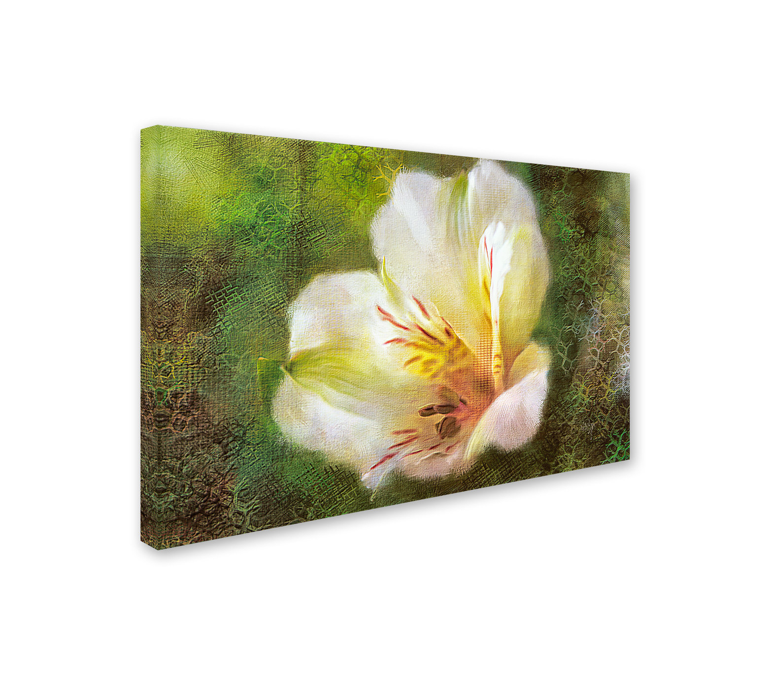 Lois Bryan 'Lily of the Incas' Canvas Art, 47"x30" - Contemporary ...