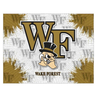 Wake Forest Logo Canvas, 20"x15" - Contemporary - Prints And Posters ...