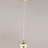 Swank LED 1-Light Pendant - Contemporary - Pendant Lighting - by ...
