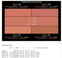 If you wanted your walls this color