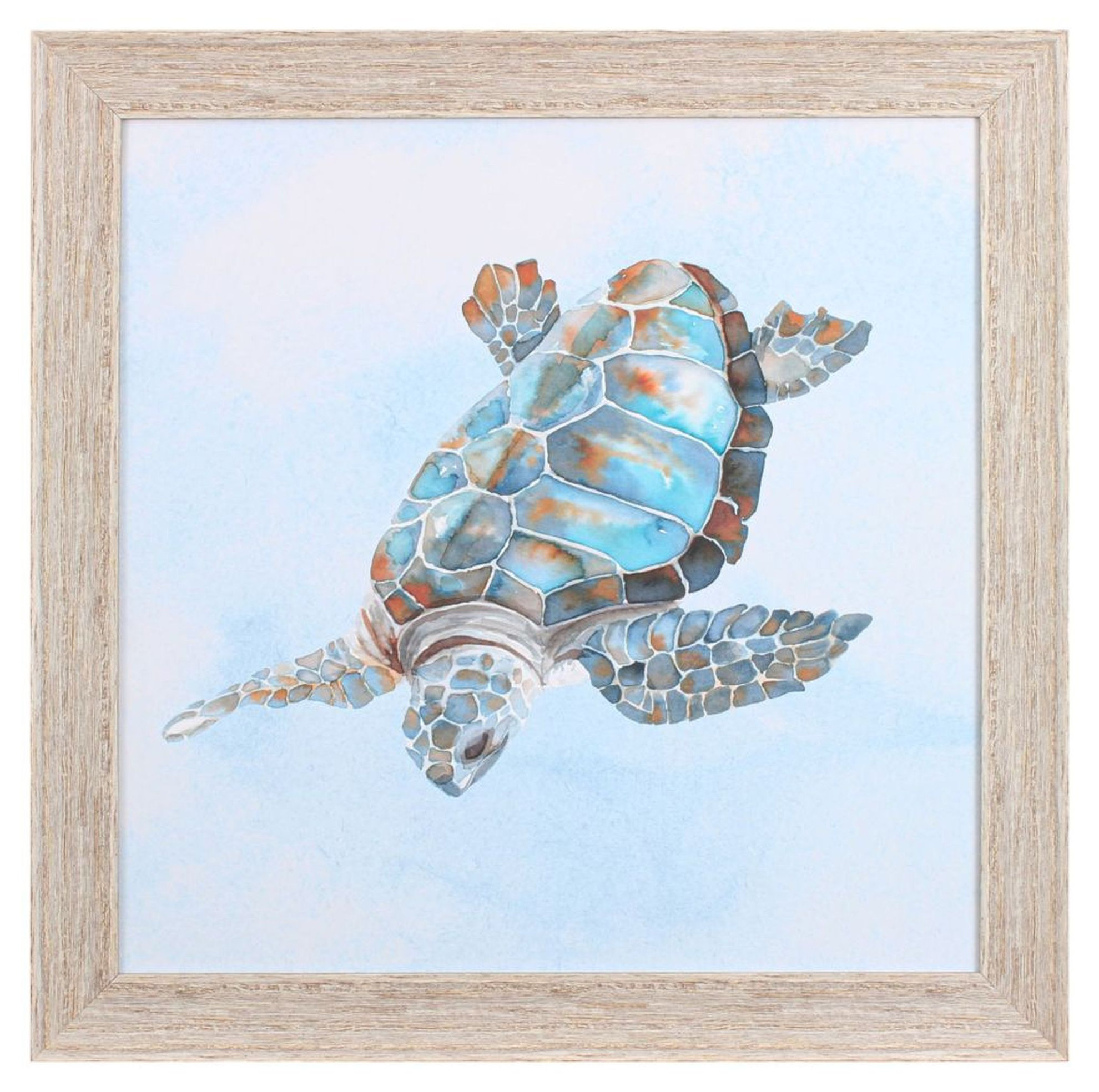 Blue Sea Turtle II Artwork - Beach Style - Prints And Posters - by ...