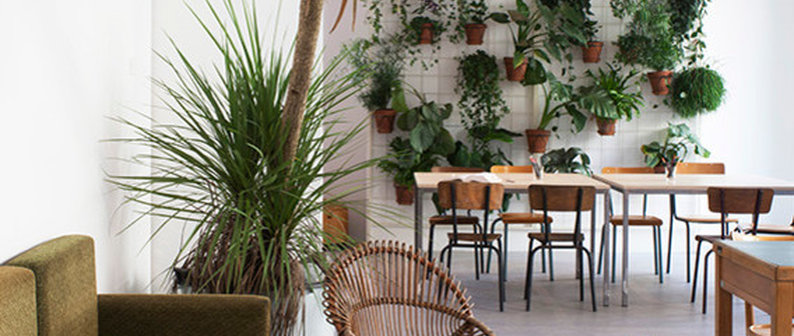 IRIS ROTH - Project Photos & Reviews - milano, MI, IT IT | Houzz