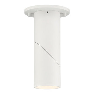 Transformer Dual Voltage Adjustable LED Spotlight - Modern - Flush ...