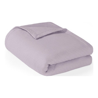 Madison Park Liquid Cotton Liquid Cotton Blanket, Lilac - Contemporary ...
