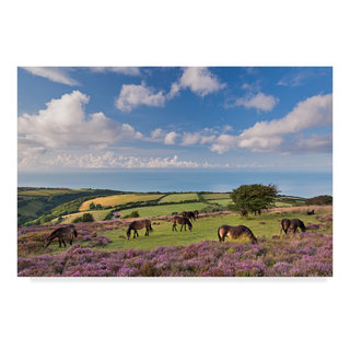 "Ponies of Porlock" by Adam Burton, Canvas Art, 12"x19" - Farmhouse ...