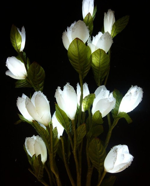 What do you think about the LED flowers Lights