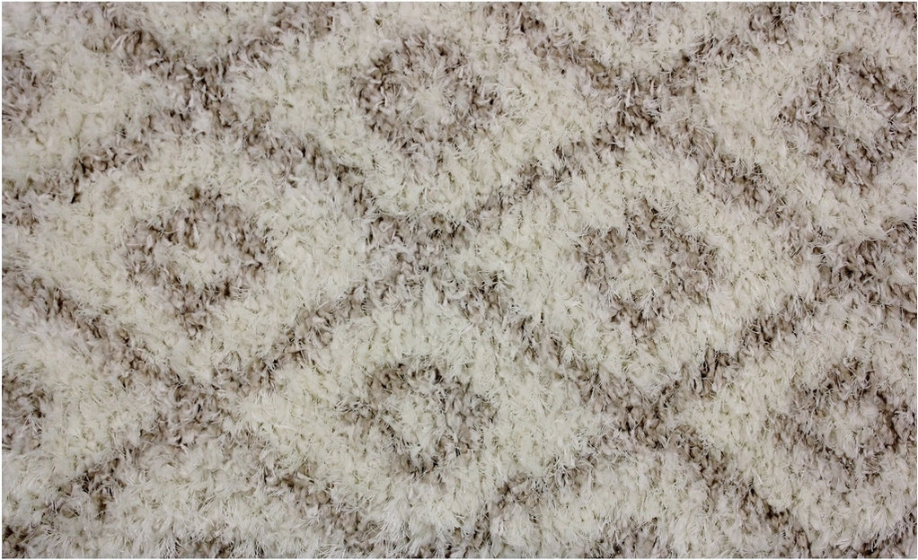 Magnificent Custom Area Rug 100% Heatset Eurolon Carpet By Kane, Rapt ...