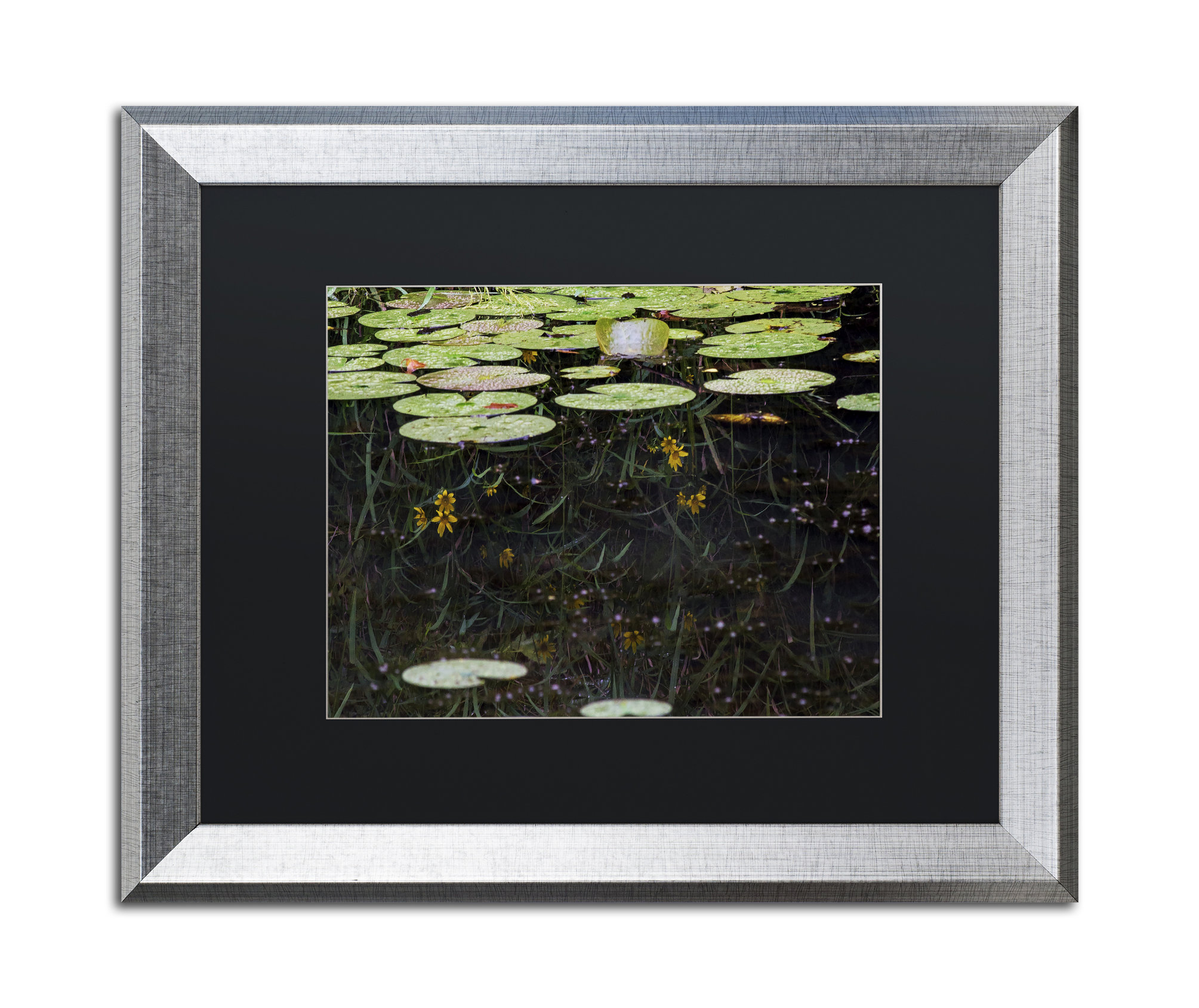 Kurt Shaffer 'Marsh Reflections' Matted Framed Art, 20"x16 ...