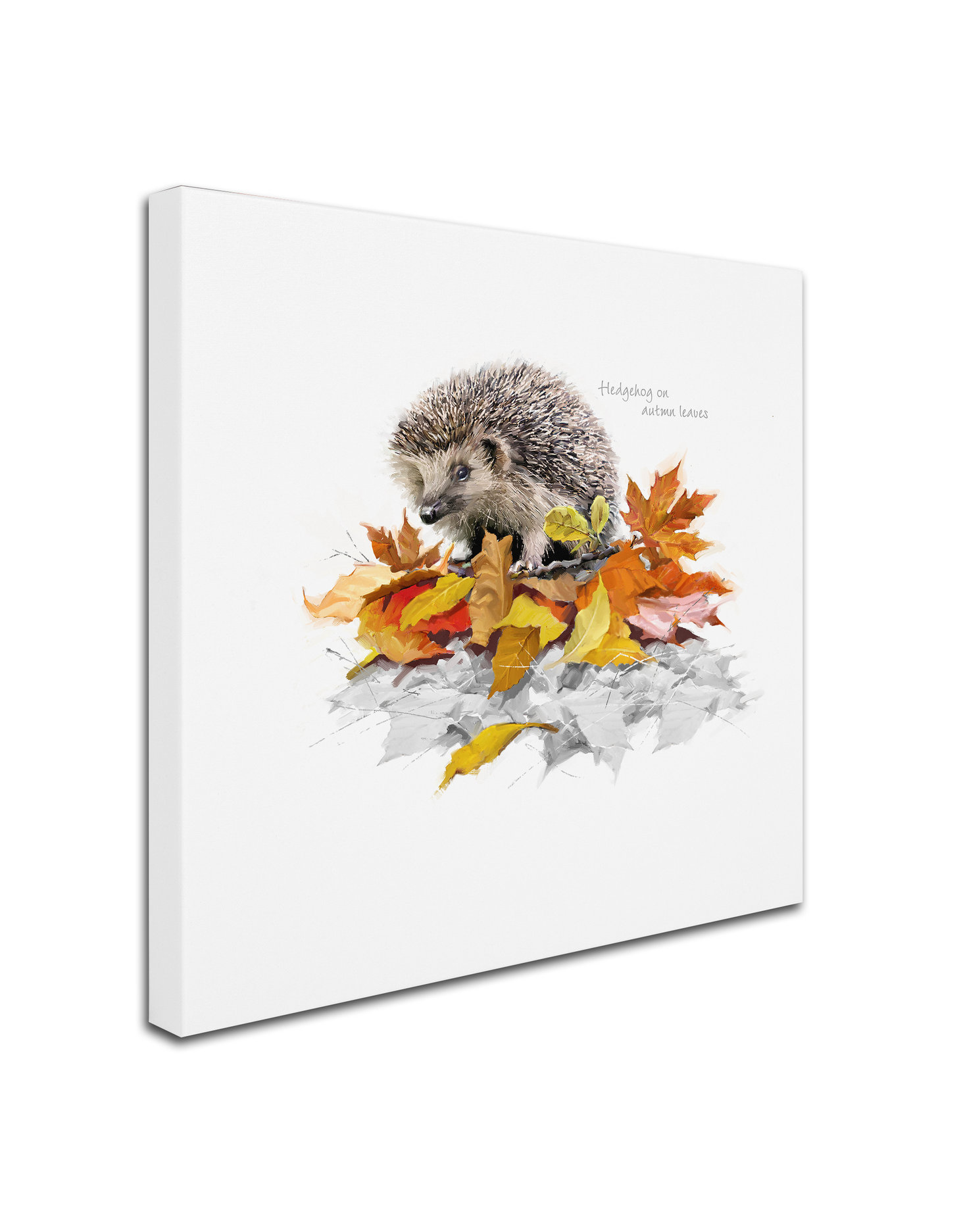 The Macneil Studio 'Hedgehog' Canvas Art, 35"x 35" - Contemporary ...