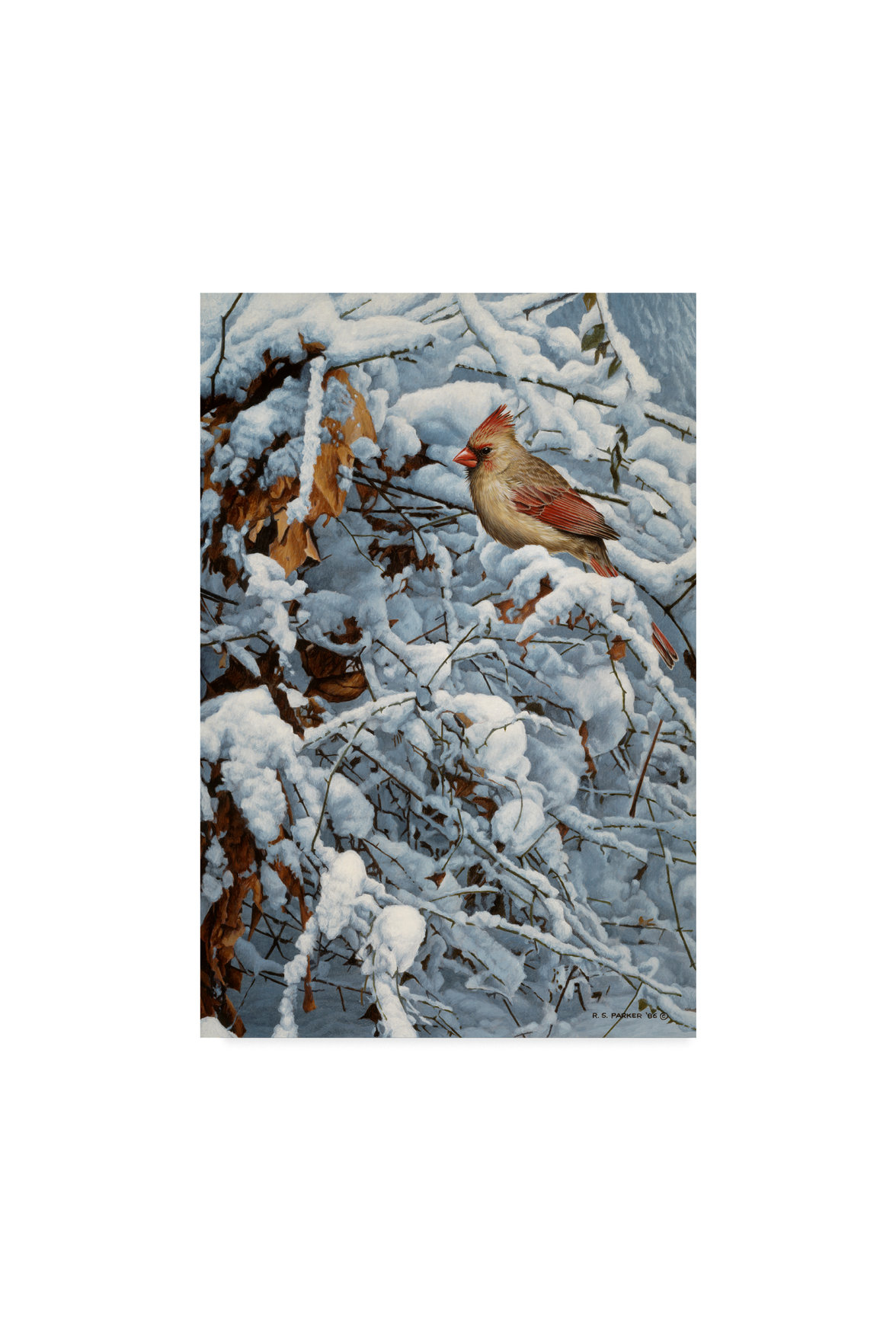 Ron Parker 'Cardinal In Brambles' Canvas Art, 47"x30" - Contemporary ...