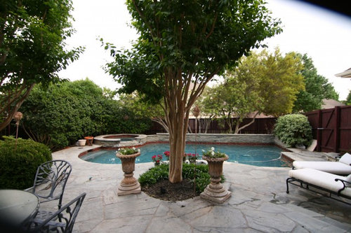 Need help with landscaping behind pool for privacy