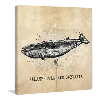 "Baleine" Painting Print on Wrapped Canvas, 18x18 - Contemporary ...
