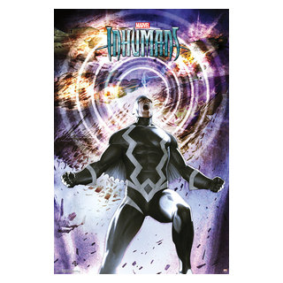 Inhumans Black Bolt Poster, 22.375"x34" - Contemporary - Prints And ...