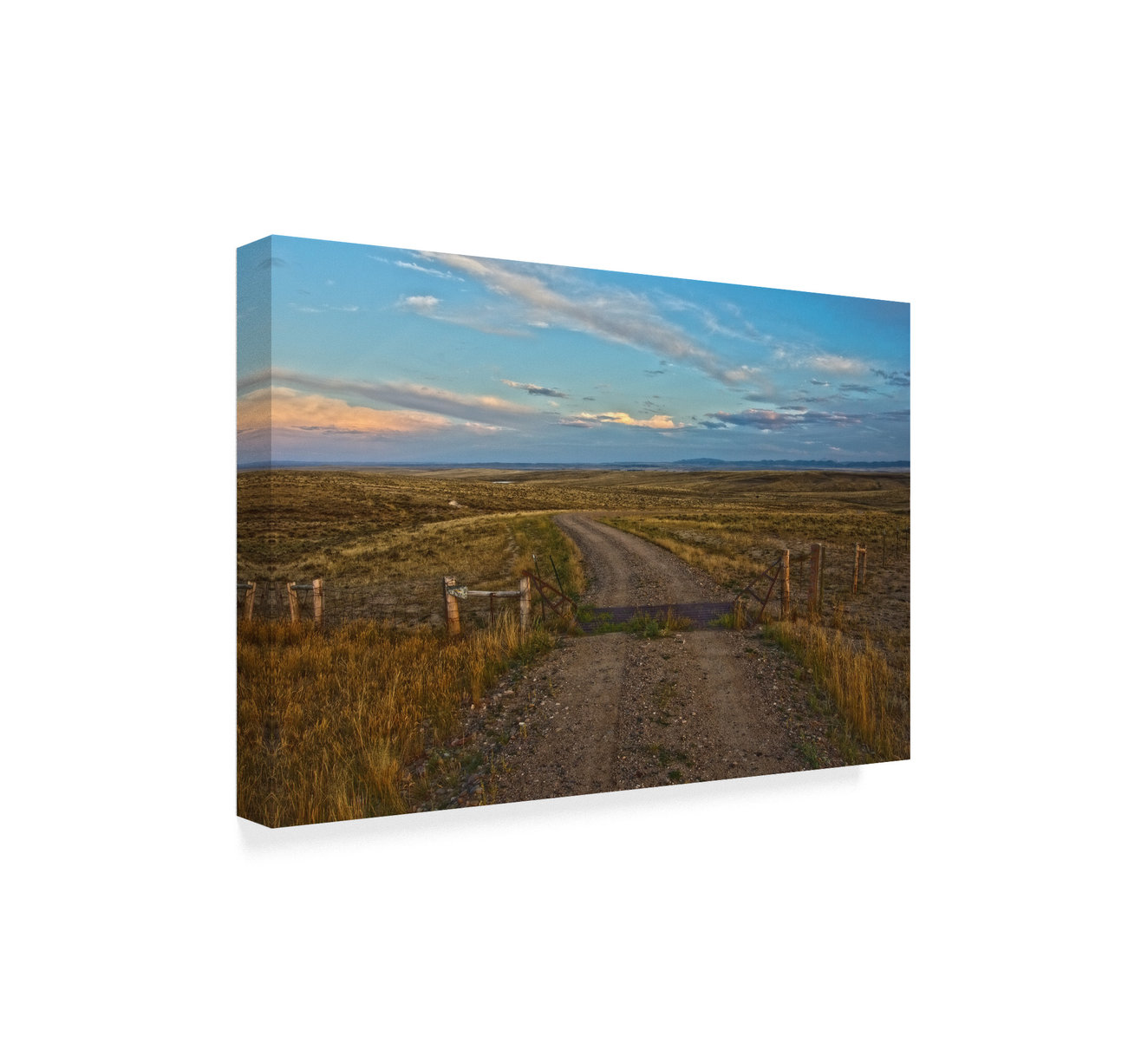 Amanda Smith 'Knowing Which Cattle' Canvas Art, 30"x47" - Contemporary ...