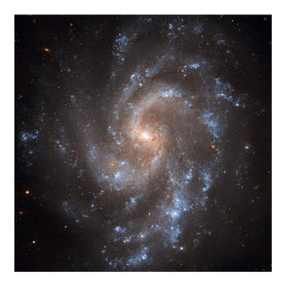 "NGC 5584" Digital Paper Print by NASA, 20"x20", 26"x26" - Contemporary ...
