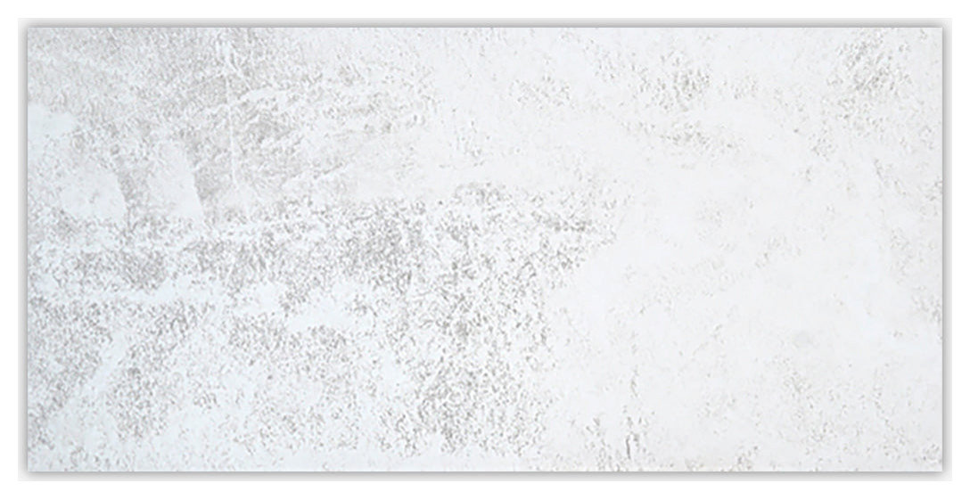 Ikasa Blanco Matte 12x24 Porcelain Tile, 12x24 - Contemporary - Wall ...