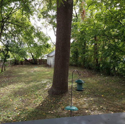 Neglected Backyard overhaul help