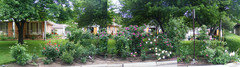 Wide shots of your whole garden