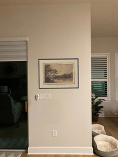 Decorating around light switch