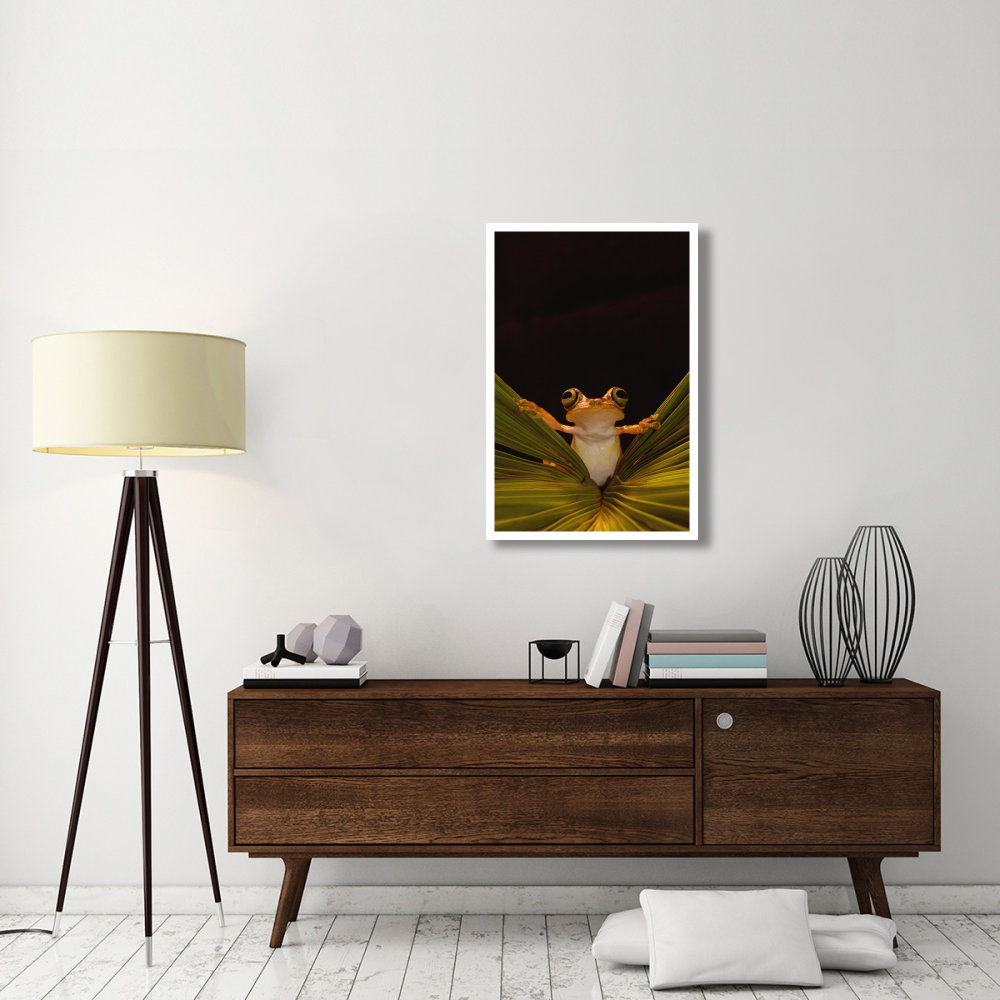 "Chachi Tree Frog, Choco Rainforest, Ecuador" Paper Art, 26"x38 ...