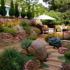 Colorado Native Landscape