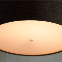 13.5" Round Diffuser Translucent frosted White (will Soften Light from Drum Lamp - Transitional ...