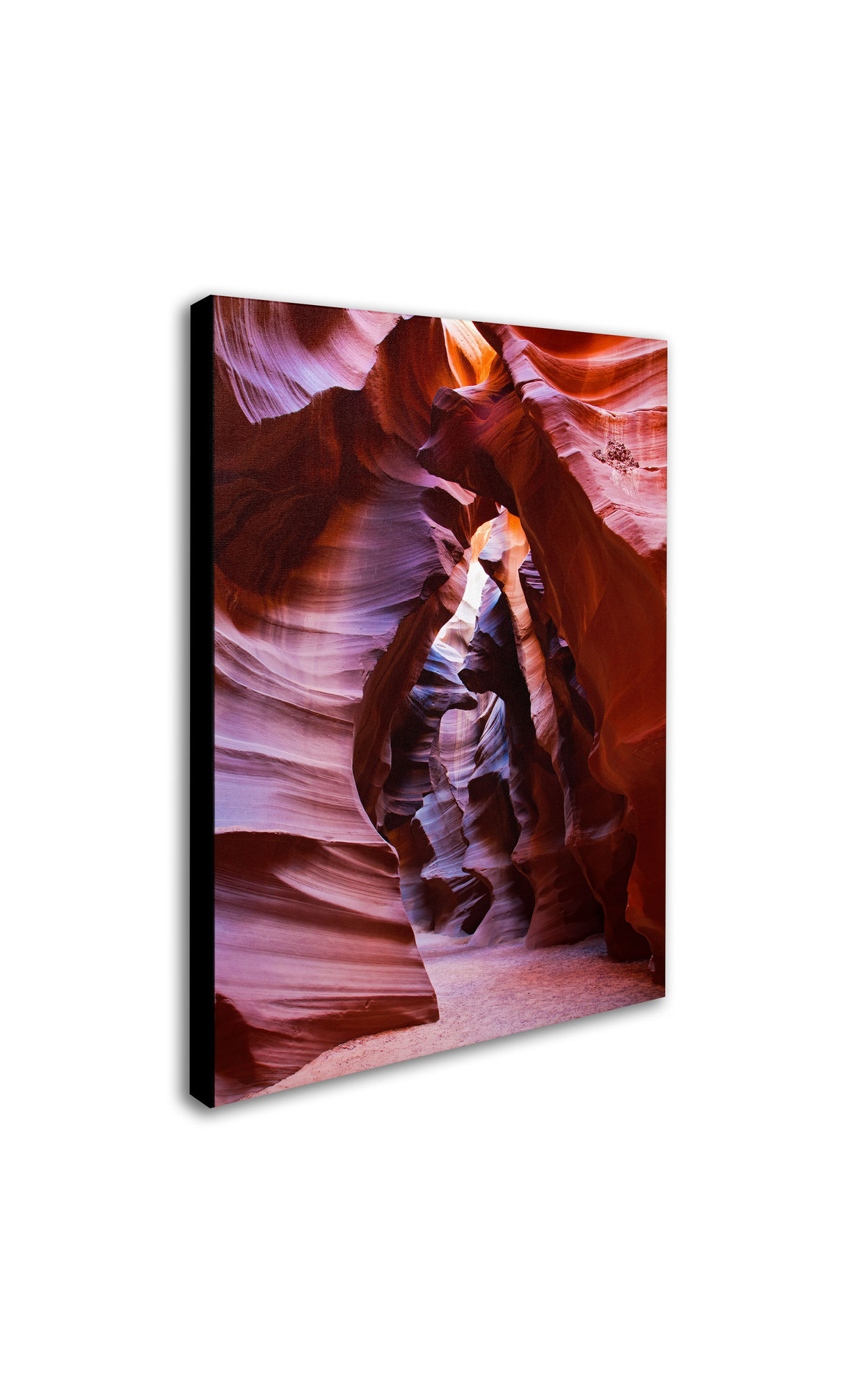 'Antelope' Canvas Art by Pierre Leclerc, 16" x 24" - Contemporary ...