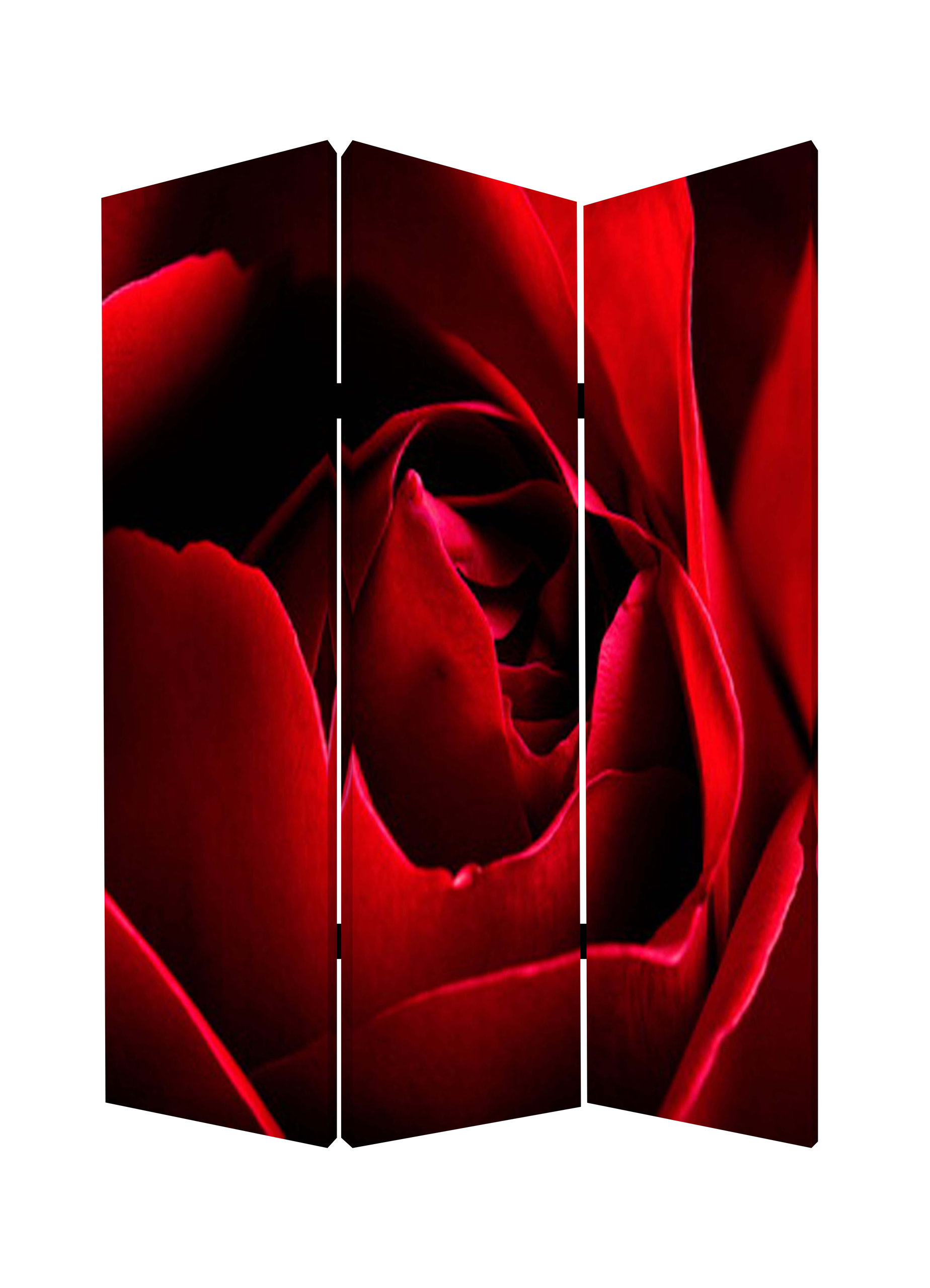 Rose Screen - Contemporary - Screens And Room Dividers - by HedgeApple ...