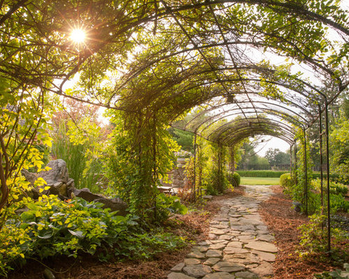 Rebar Trellis | Houzz