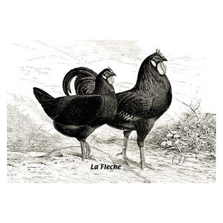 Fleche (Chickens), 20" x 30" - Farmhouse - Prints And Posters - by ...