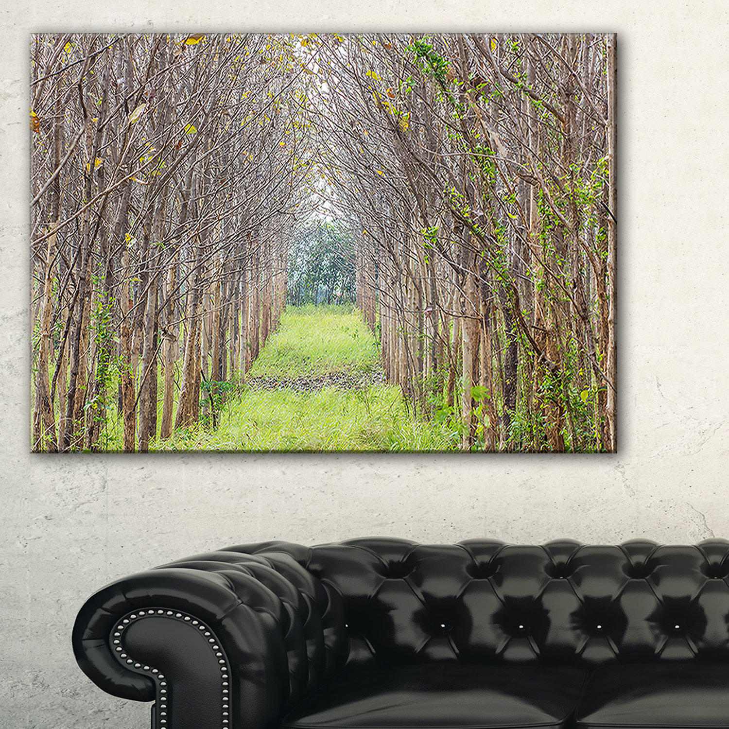 "Pathway Through Fall Green Trees" Landscape Photo Wall Art, 32"x16 ...