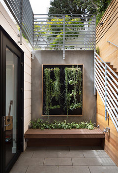 Small enclosed courtyard/atrium