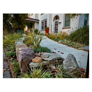 New Mediterranean Water Management Gardens - Mediterranean - Landscape ...