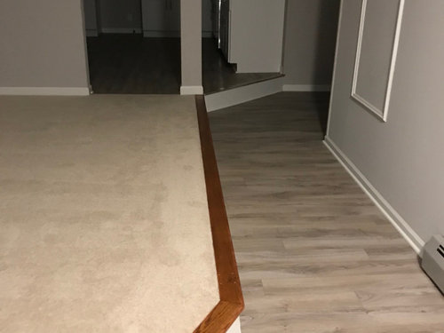 Step up into Living Room / can a ramp be constructed or bought?
