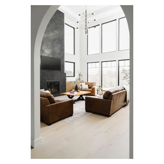 DH Apollo - Modern - Living Room - Cedar Rapids - by Dream Homes ...