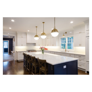 Hale Navy & White - Transitional - Kitchen - New York - by Five Star ...