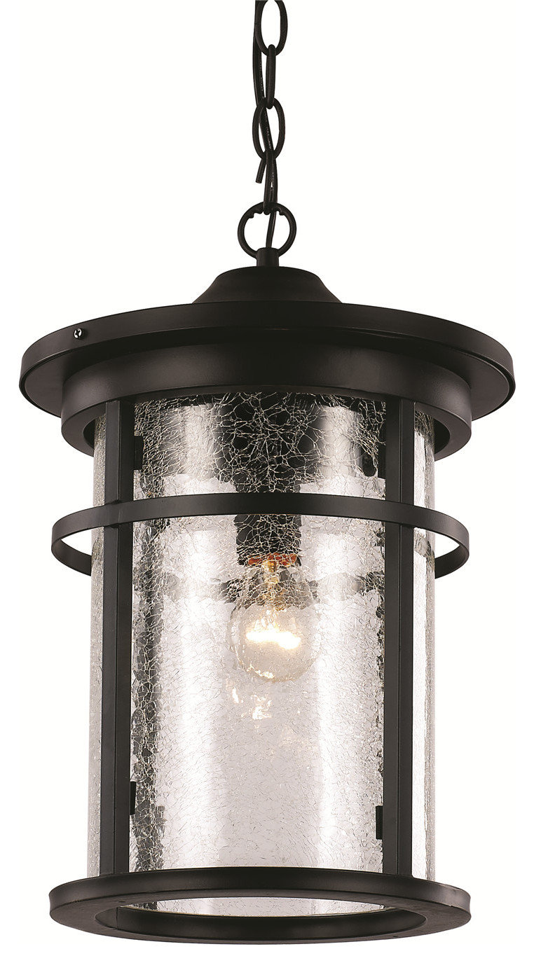 Trans Globe Lighting 40385 Crackled 1 Light Outdoor Lantern ...