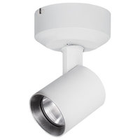 Lucio LED 10W Monopoint 2700K Ultra Narrow Beam, White - Transitional ...