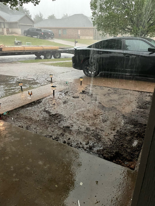 Landscaping/Rainscaping. Help/Advice needed.