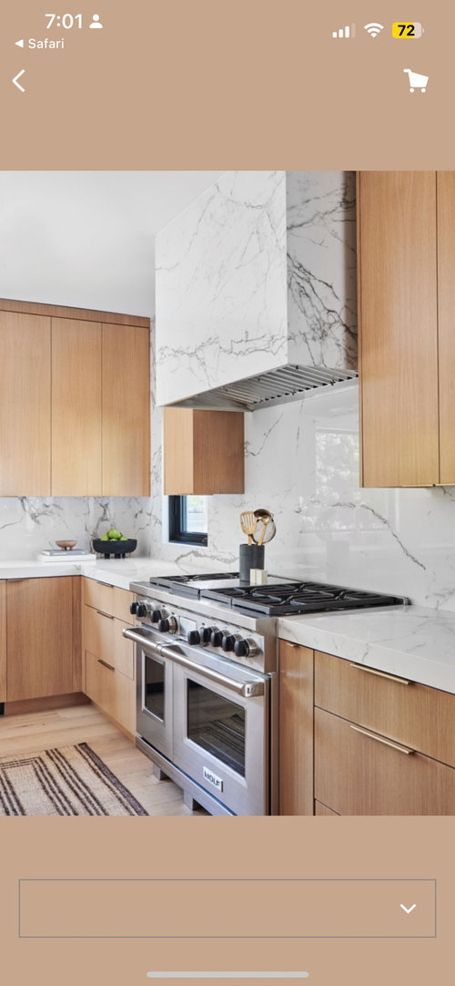 Hood clad in porcelain