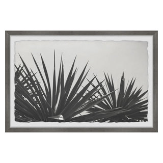 "Blue Agave" Framed Painting Print, 18"x12" - Contemporary - Prints And ...
