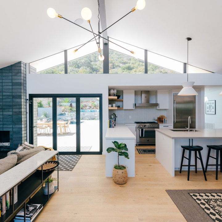 Midcentury Modern Vaulted Ceiling - Photos & Ideas | Houzz