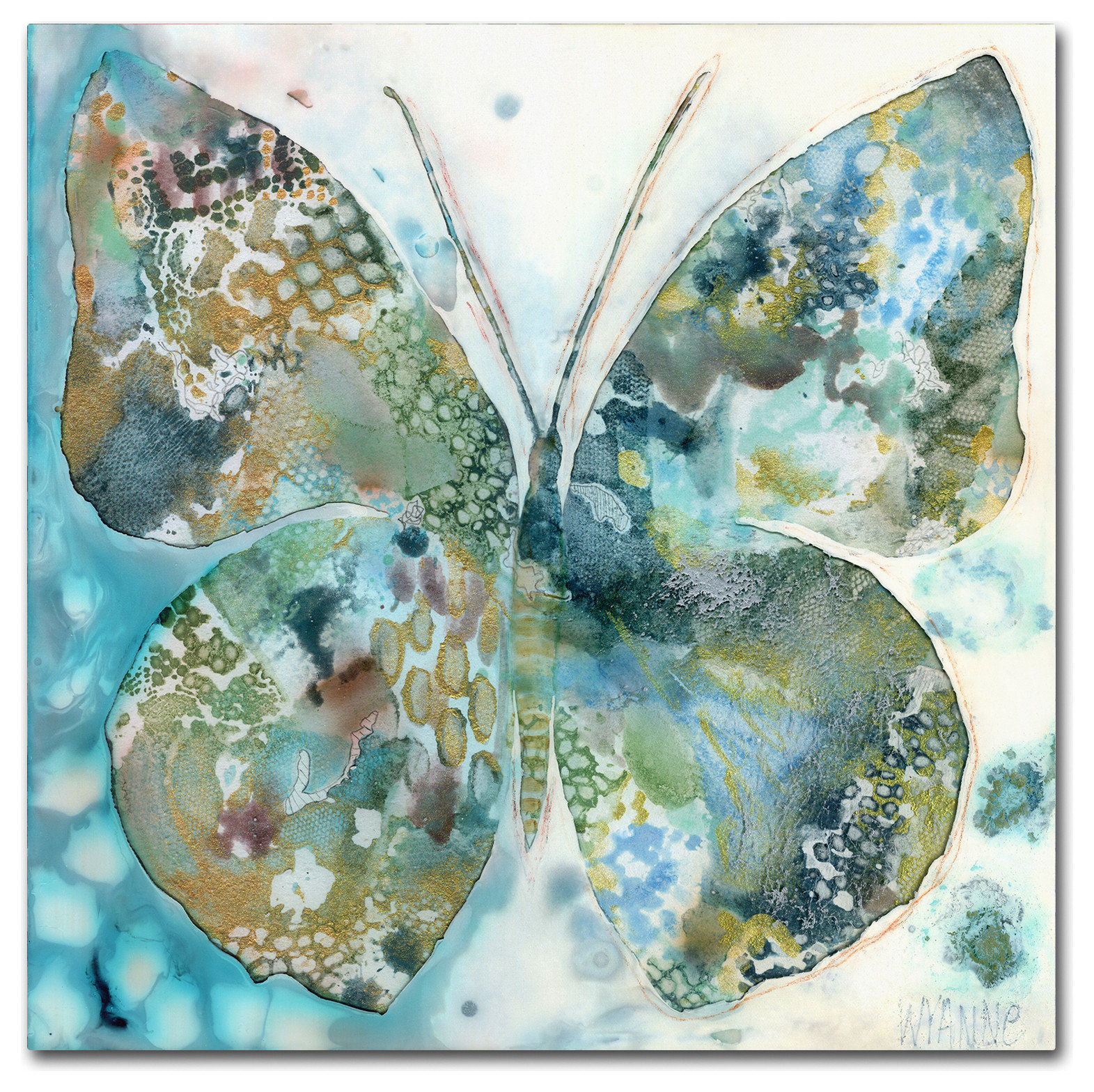 Wyanne 'Lucky Moth 1' Canvas Art, 35"x35" - Contemporary - Prints And ...