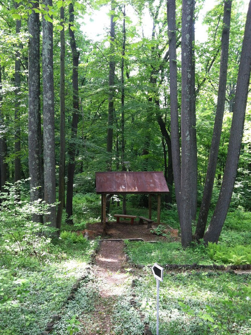 Best Rustic Pavilion Design Ideas & Remodel Pictures | Houzz