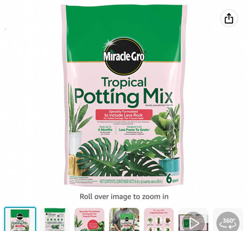 What soil mix is good for pink princess?