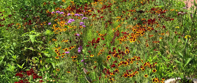 STEPHEN COAN GARDEN DESIGN – DESIGN/INSTALL - Project Photos & Reviews ...