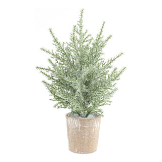 Potted Icy Pine Tree, 6-Piece Set - Traditional - Artificial Plants And ...