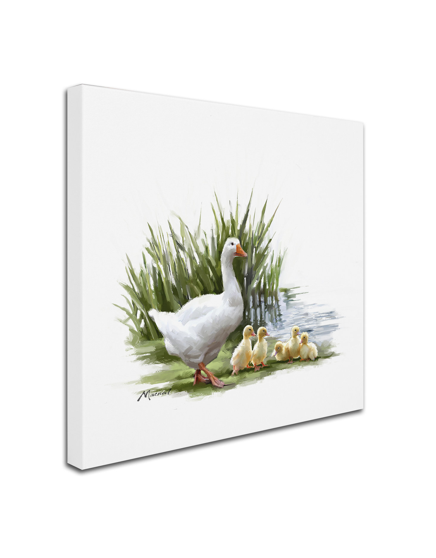 The Macneil Studio 'Goose With Young' Canvas Art, 18"x18" - Farmhouse ...
